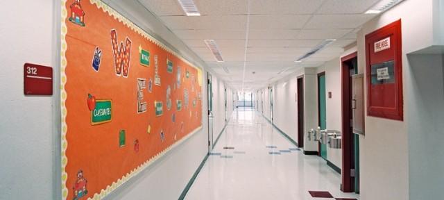 Scroggins Elementary School | Natex Architects